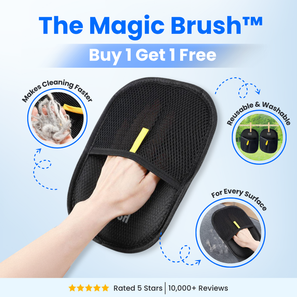 The Magic Brush™ - Buy 1 Get 1 Free