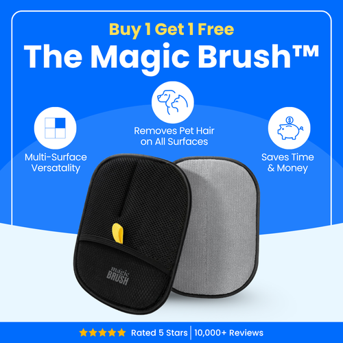 The Magic Brush™ - Buy 1 Get 1 Free