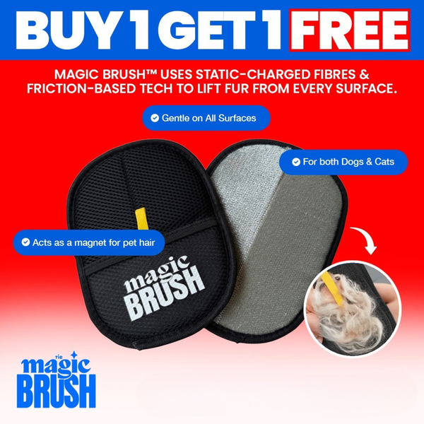 The Magic Brush